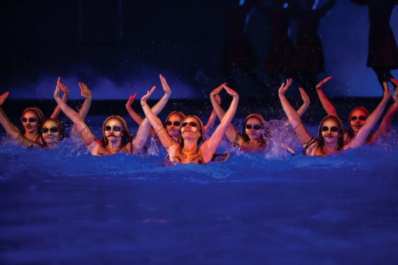 Las Vegas: O by Cirque du Soleil at Bellagio - The Sum Up: Who Should Experience "O" at Bellagio?