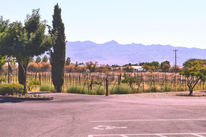 Las Vegas / Pahrump Wine Tasting Tour and snacks - What to Expect from the Wine Tastings