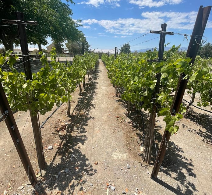 Las Vegas / Pahrump Wine Tasting Tour and snacks - Authentic Reviews and Insights