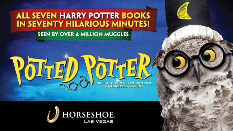Las Vegas: Potted Potter - The Unauthorized Harry Experience - Why Visit Potted Potter?