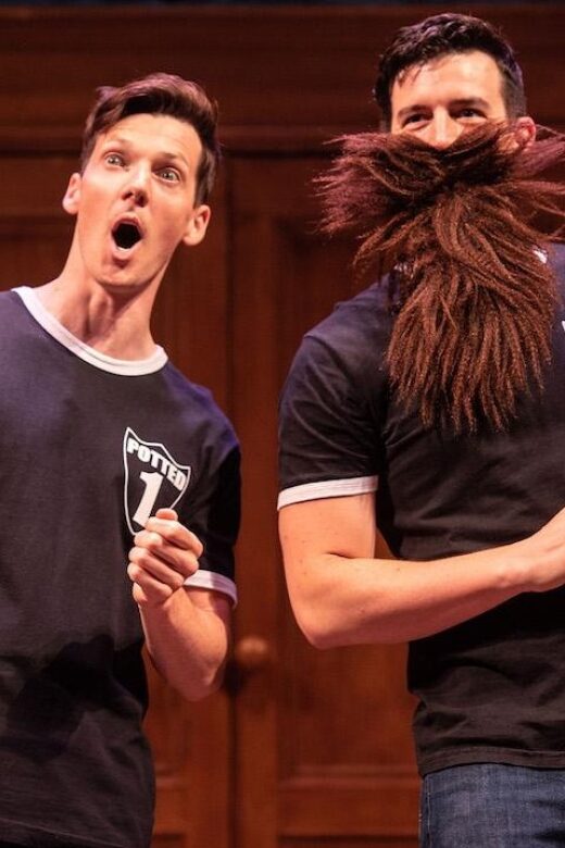 Las Vegas: Potted Potter - The Unauthorized Harry Experience - Summary: Who Should Consider This?