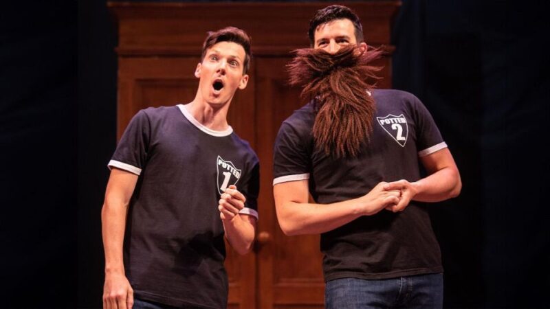 Las Vegas: Potted Potter - The Unauthorized Harry Experience - FAQs