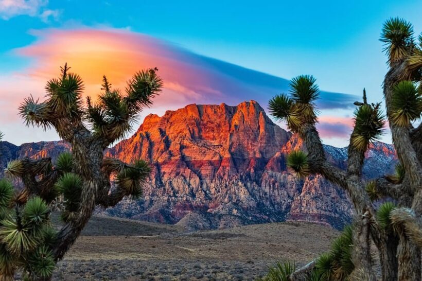 Las Vegas: Private Red Rock Canyon Guided Driving Adventure - An In-Depth Look at the Red Rock Canyon Guided Tour
