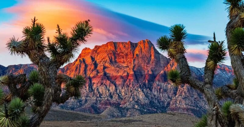 Las Vegas: Private Red Rock Canyon Guided Driving Adventure - What Is This Tour All About?