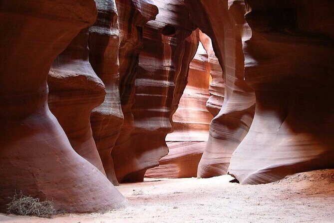 Las Vegas Private Tour: Antelope Canyon & Horseshoe Bend(6 seats) - Final Thoughts