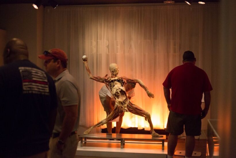 Las Vegas: REAL BODIES at Horseshoe Las Vegas Entry Ticket - The Experience Weights on Authenticity and Atmosphere
