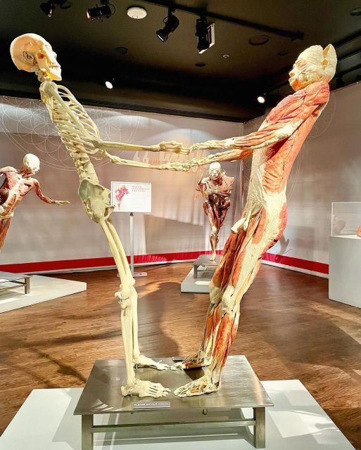 Las Vegas: REAL BODIES at Horseshoe Las Vegas Entry Ticket - FAQs