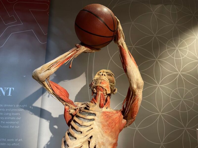 Las Vegas: REAL BODIES at Horseshoe Las Vegas Entry Ticket - Key Points