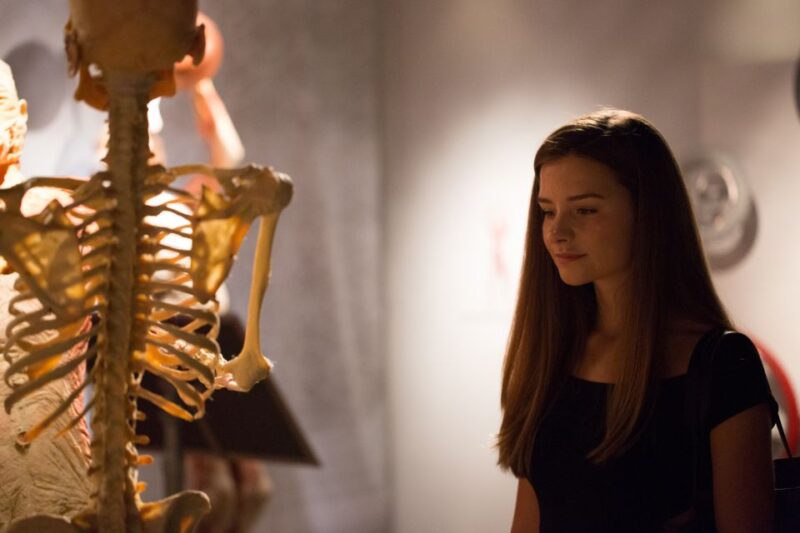 Las Vegas: REAL BODIES at Horseshoe Las Vegas Entry Ticket - How the Exhibit Is Organized