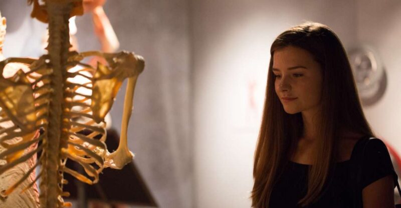 Las Vegas: REAL BODIES at Horseshoe Las Vegas Entry Ticket - The Artistic Side of REAL BODIES