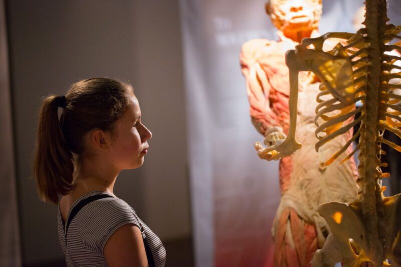 Las Vegas: REAL BODIES at Horseshoe Las Vegas Entry Ticket - Practical Details: Visiting the Exhibit