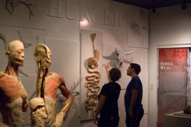 Las Vegas: REAL BODIES at Horseshoe Las Vegas Entry Ticket - Final Thoughts