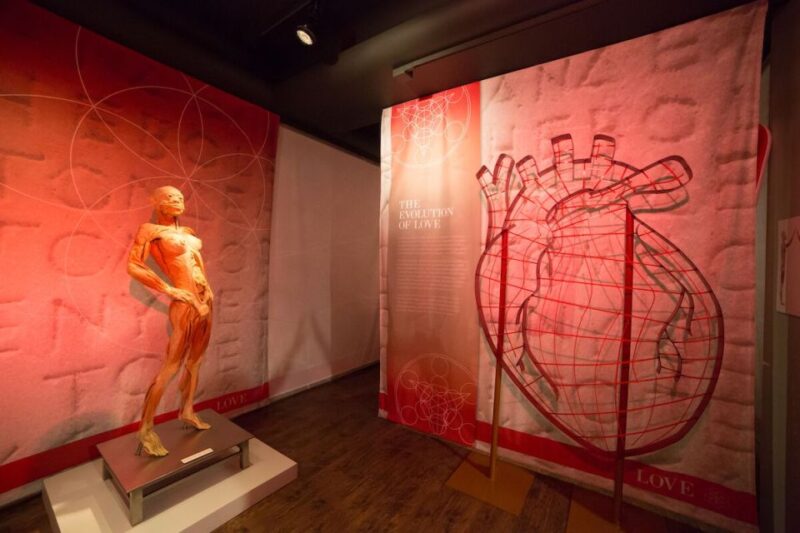 Las Vegas: REAL BODIES at Horseshoe Las Vegas Entry Ticket - FAQ