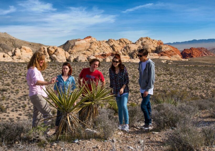 Las Vegas: Red Rock Canyon Tour & Rocky Gap 4x4 Adventure - What to Expect on the Red Rock Canyon & Rocky Gap Jeep Tour