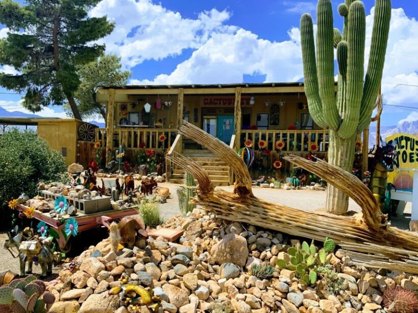 Las Vegas: Red Rock Canyon & Whimsical Cactus Joe's + Lunch - Final Thoughts: Is It Worth Your Time?