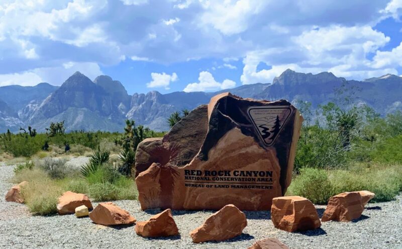 Las Vegas: Red Rock Canyon & Whimsical Cactus Joe's + Lunch - Who Will Love This Tour?