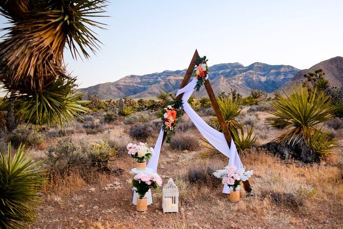 Las Vegas Scenic Wedding Ceremonies - A Deep Dive: What to Expect from Las Vegas Scenic Wedding Ceremonies