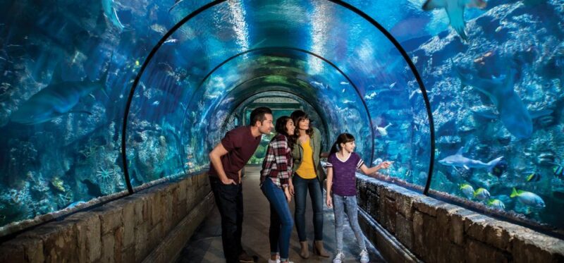 Las Vegas: Shark Reef Aquarium & VR Experience Entry Ticket - Highlights and Considerations