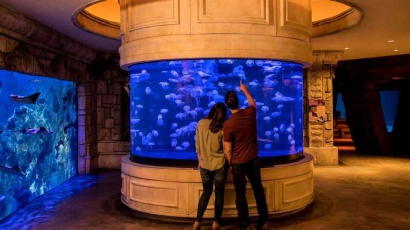 Las Vegas: Shark Reef Aquarium & VR Experience Entry Ticket - Frequently Asked Questions