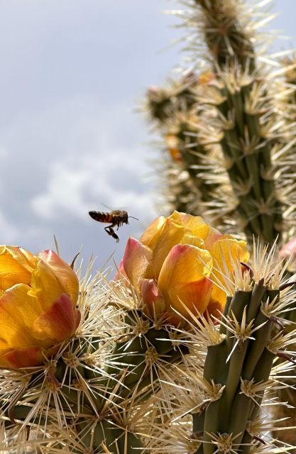 Las Vegas: Small-Group Grand Canyon Skywalk, Hoover Dam Tour - The Small-Group Experience: Why It Matters
