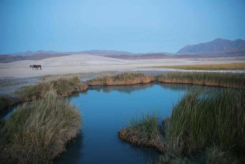 Las Vegas: Soak in a Natural Hot Springs near Death Valley - The Sum Up: Who Should Consider This Tour?