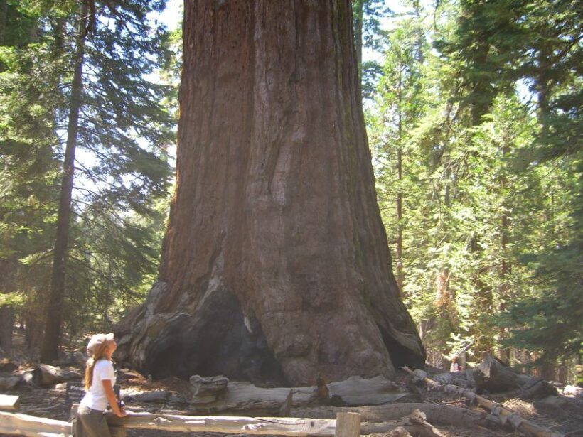 Las Vegas: Southwest USA National Parks 11-Day Trip to SF - FAQ