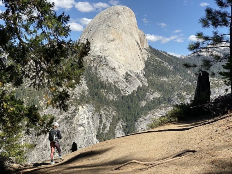Las Vegas: Southwest USA National Parks 11-Day Trip to SF - Day 9: Tioga Pass and Yosemite