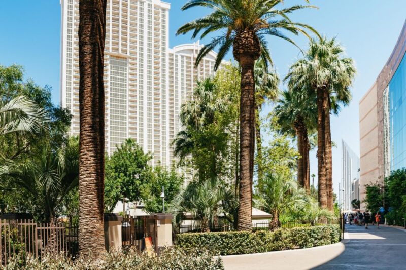 Las Vegas Strip: 3-Stop Pool Party Crawl with Party Bus - FAQ