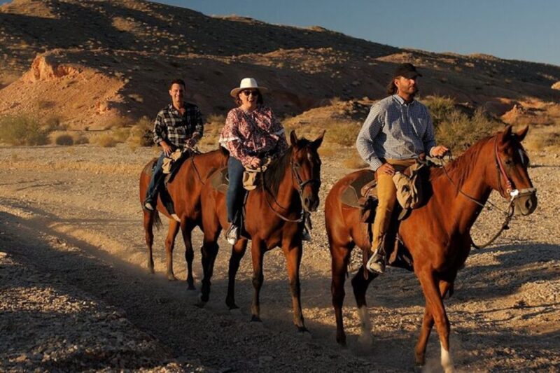 Las Vegas: Sunset Horseback Riding Tour with BBQ Dinner - Who Will Love This Tour?