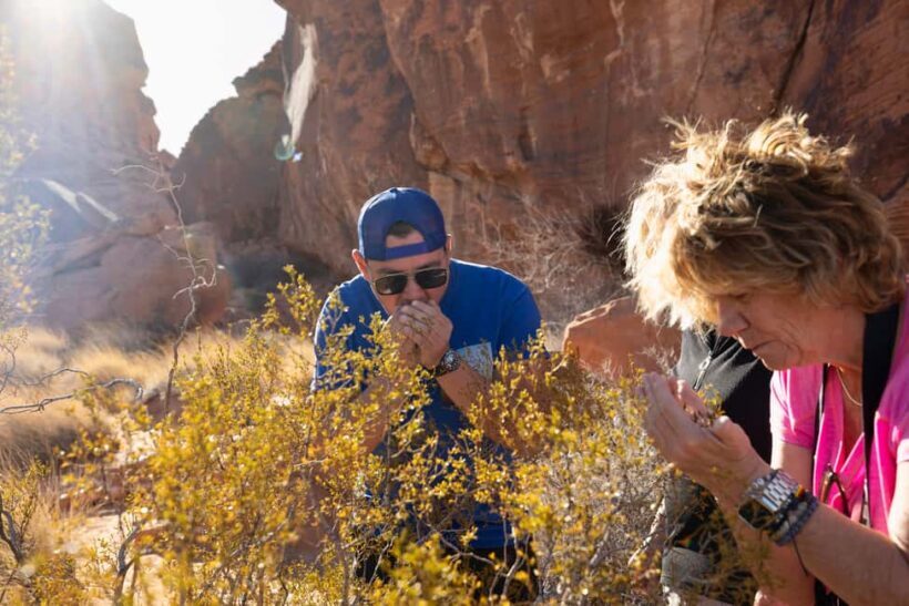 Las Vegas: Valley of Fire and Red Rock Canyon Day Trip - The Sum Up