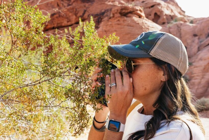 Las Vegas: Valley of Fire Guided Hike with Drinks and Snacks - FAQ