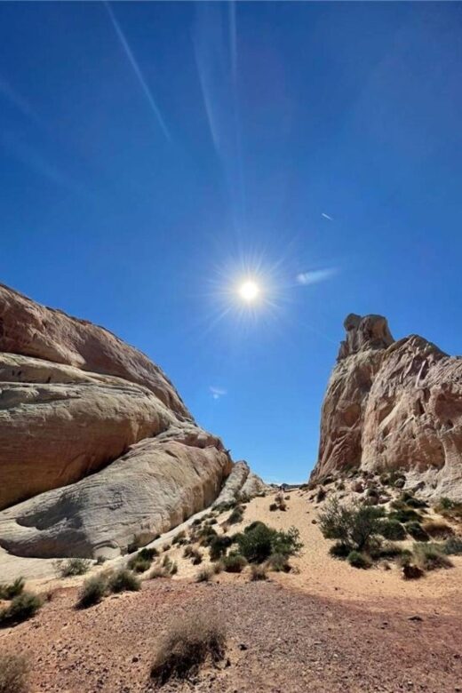 Las Vegas: Valley of Fire Guided Tour in Spanish - Who Should Consider This Tour?