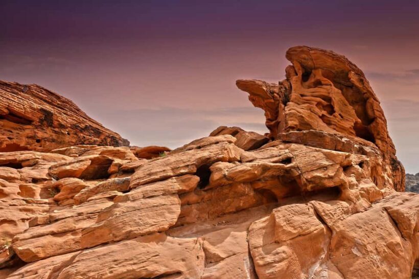 Las Vegas: Valley of Fire State Park Guided Tour - The Value of the Experience
