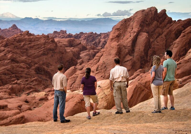 Las Vegas: Valley of Fire Tour in Luxury Tour Trekker - Who Is This Tour Best For?