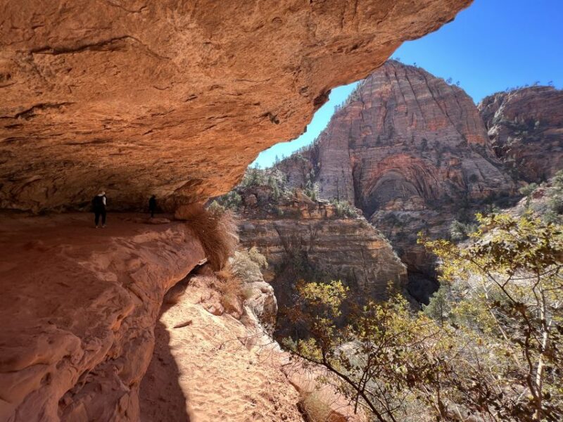 Las Vegas: VIP Guided Photography & Hiking Tour of Zion NP - Why This Tour Could Be a Great Fit