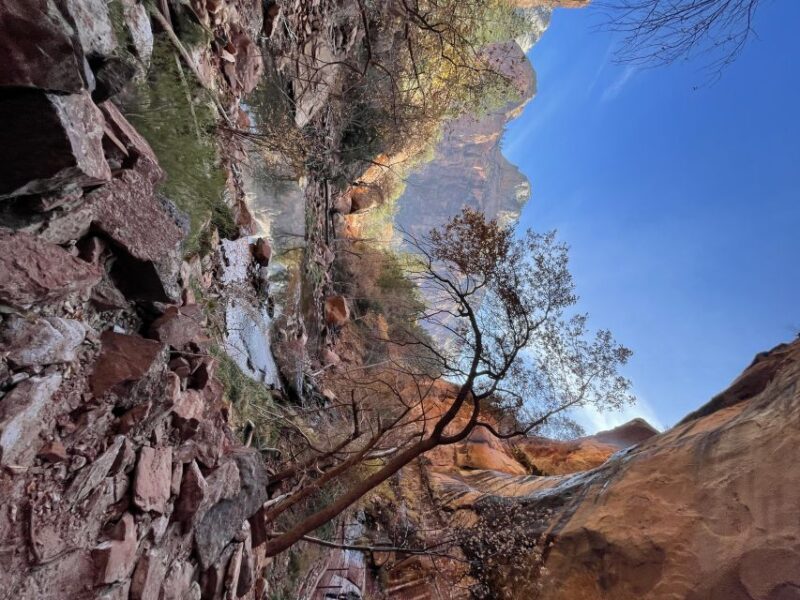 Las Vegas: VIP Guided Photography & Hiking Tour of Zion NP - Authentic Experiences and Authentic Scenery