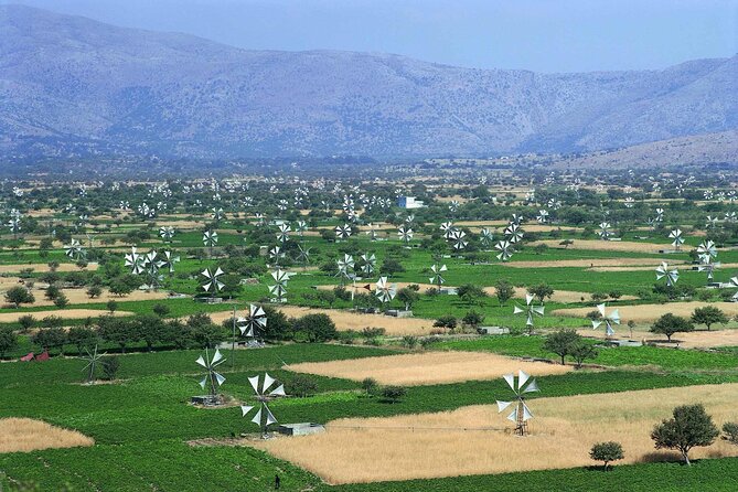 Lasithi - Zeus Cave -Olive Oil Factory - Traditional Villages - The Olive Oil Experience at Vassilakis Estate