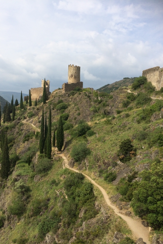 Lastours, Vinyard, Minerve, Canal du Midi from Carcassonne - Practical Details and Value