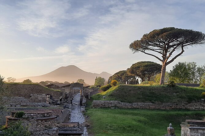 Late Afternoon Best Time to Visit Pompei on a Private Tour - Key Highlights of the Pompeii Tour