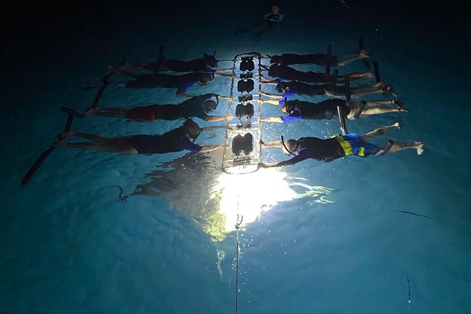 Late Night Manta Snorkel - Inclusions and Amenities