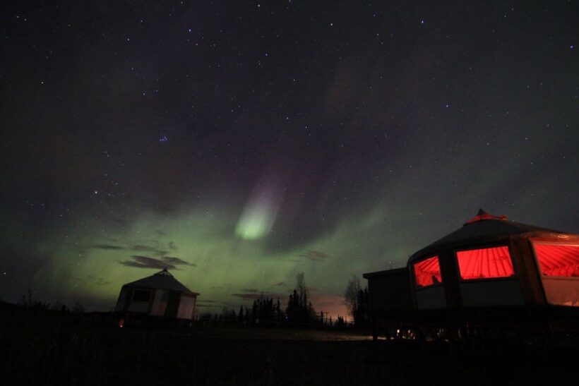 Late Night Yurt Dinner and Northern Lights - An Authentic Arctic Evening: Late Night Yurt Dinner and Northern Lights