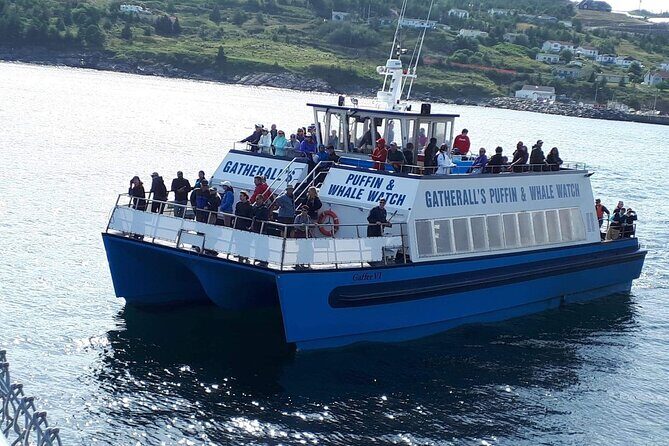 Late Season Puffin & Scenic Coastal Cruise - Comfort, Safety, and Practical Details