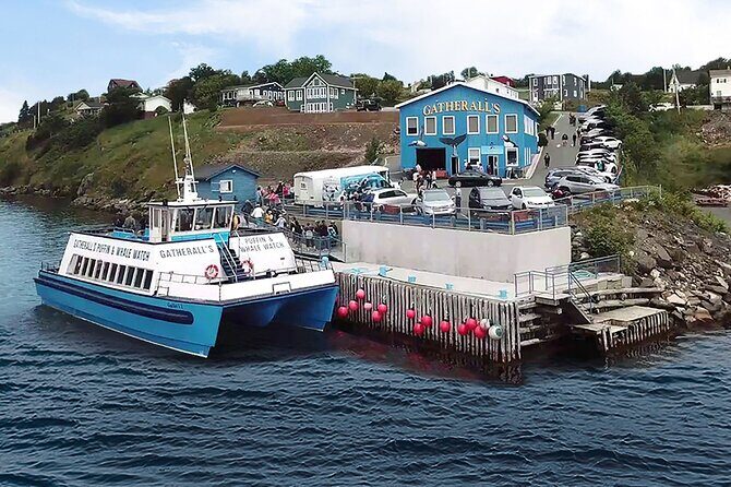Late Season Puffin & Scenic Coastal Cruise - Value for Money