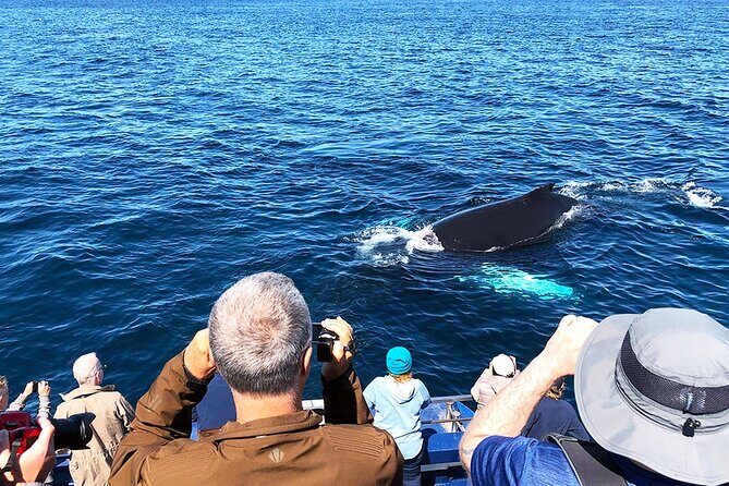 Late Season Puffin & Scenic Coastal Cruise - Who Will Love This Tour?