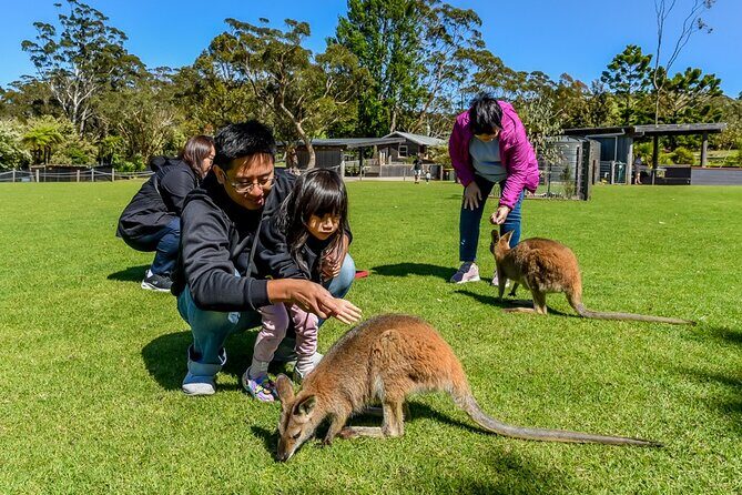 Late Start Blue Mountains Nature, Waterfalls, Koalas Small Group - FAQ