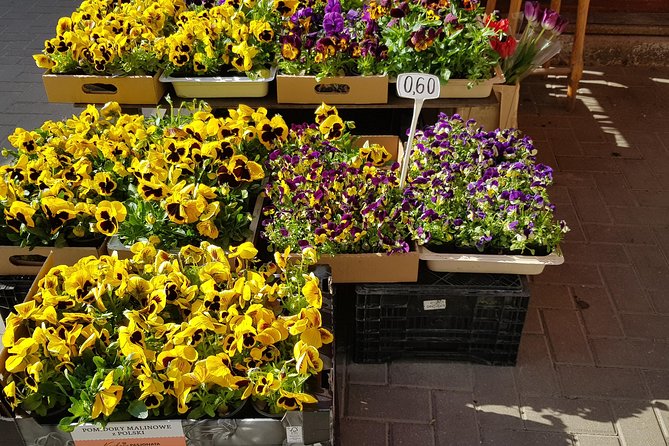Latvian Food Tasting Tour at Riga Central Market - Learning About Latvian Culture Through Food