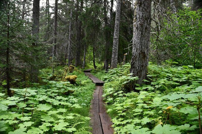 Laughton Glacier Hike and White Pass Rail Adventure - Laughton Glacier Hike and White Pass Rail Adventure: A Complete Guide