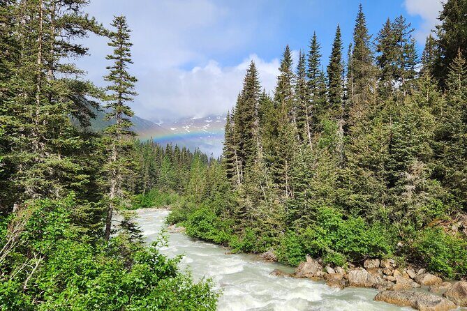 Laughton Glacier Hike and White Pass Rail Adventure - Authentic Reviews and Highlights