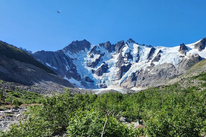 Laughton Glacier Hike and White Pass Rail Adventure - Who Should Consider This Experience?