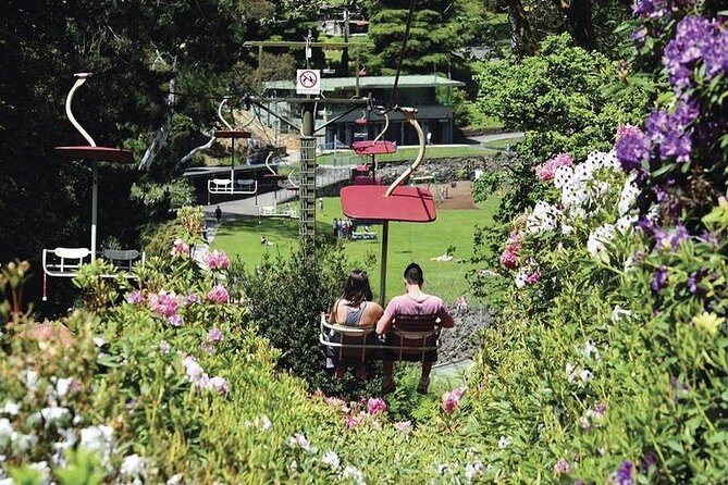 Launceston and Surroundings Day Tour Private Charter Service - Key Points